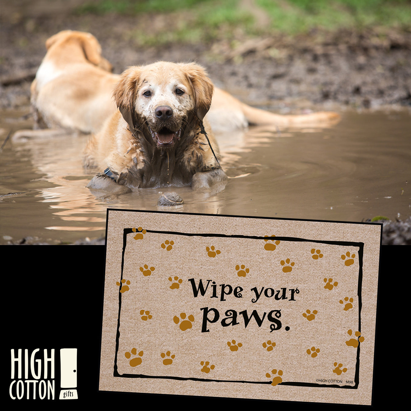 Wipe Your Paws Funny Front Door Mat